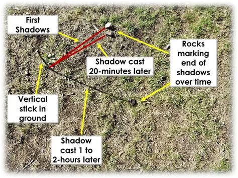 6 Ways To Find Your Way In The Wilderness Without A Compass