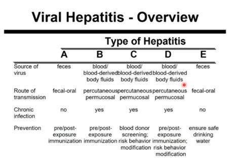 Bs6 Mod 2 Lecture 2 Hepatobiliary Clinical Medicine Flashcards Quizlet