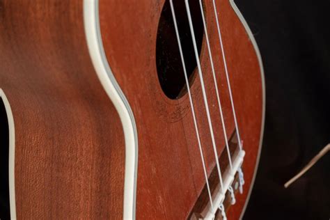 Find The Best Ukulele Strings For Sound And Playability