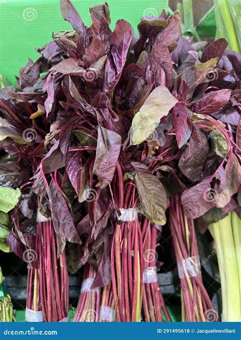 Amaranthus Dubius Is Considered To Be A Morphologically Deviant