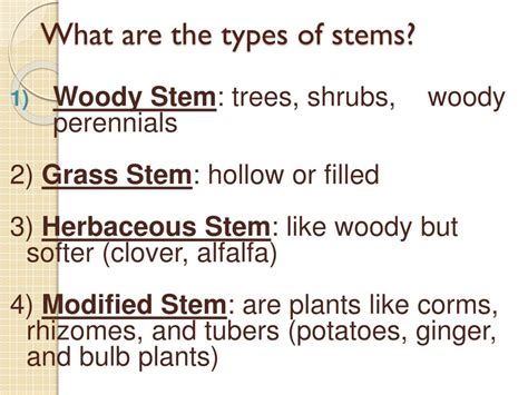 Ppt Plant Parts Powerpoint Presentation Free Download Id5402111