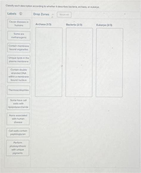 Solved Classify The Following Characteristics To