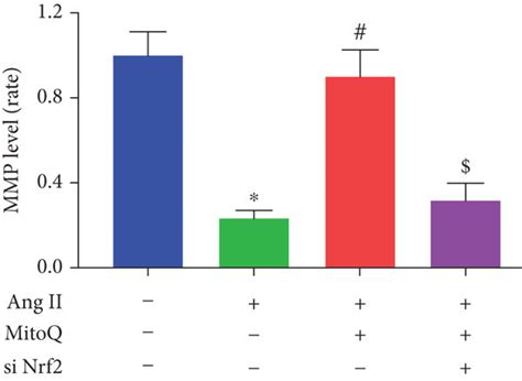 Mitoq Attenuated Oxidative Stress Mitochondrial Dysfunction And Download Scientific Diagram