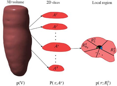 Hierarchical Model For The Tumour Volume Download Scientific Diagram