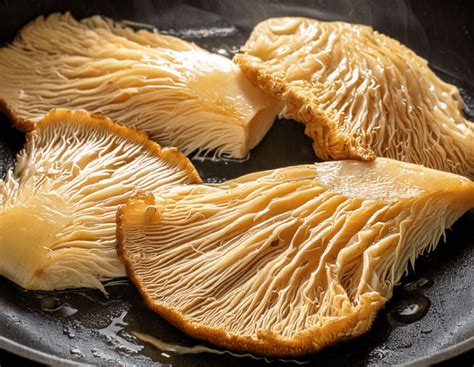 Lions Mane Mushrooms Recipes Tips And Benefits