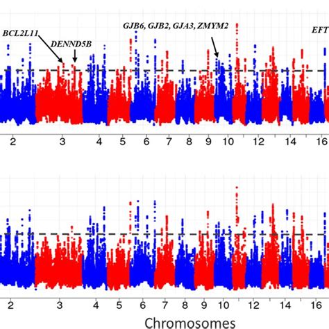 Manhattan Plots Showing The Genome Wide Distribution Frequency Of Snps