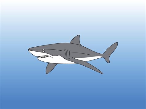 Great White Shark With Blue Sea Gradient 74144263 Vector Art At Vecteezy
