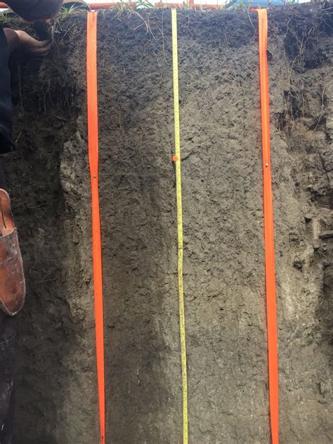 Soil Structure Massive