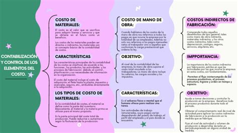 Cuadro Sinóptico Contabilización Y Control De Los Elementos Del Costo