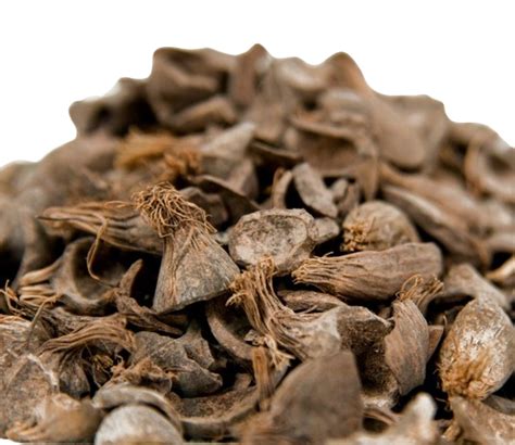 Hiatoto Akses Cepat Situs Bandar Togel Online And Slot 4d Terpercaya Di