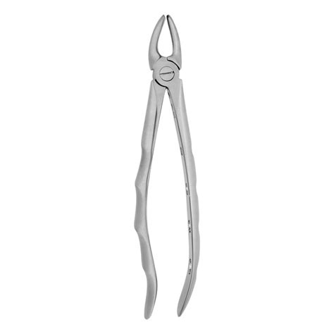 Efficient Extraction Fig 7 Forceps For Upper Premolar Procedures Skeema Dental Italia