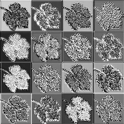 The Feature Map Visualization Of Cifar 10 Samples Ghostnet And Download Scientific Diagram