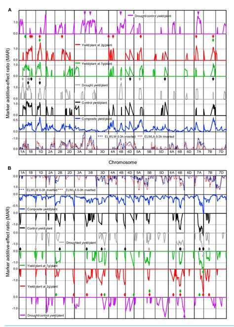 Single Marker Analysis Sma Of Additive Effects Sma Expressed As