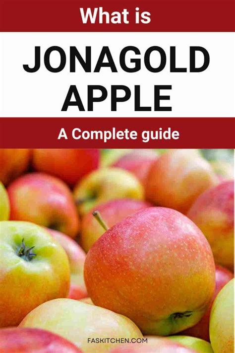 Jonagold Apple 101 Nutrition Benefits How To Use Buy Store Jonagold Apples A Complete