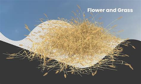 Premium Psd Various Types Of Dried Plants Grass Bushes Shrub And Small Plants Isolated