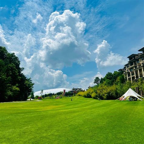 Evergreen Dwarf Grass Seed Kenya Mall