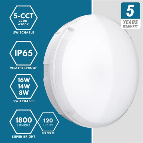 8 16w 5 Cct Led Round Bulkhead Light Ip65 Ceiling And Wall Fitting