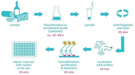 Hybriscan® Rapid Microbial Test System