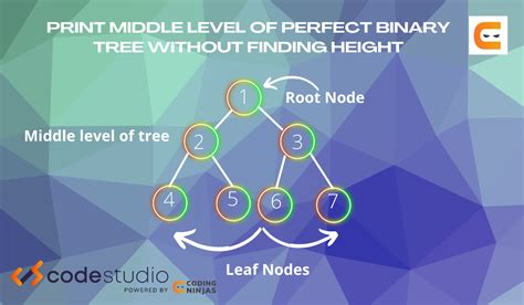 Middle Level Of Perfect Binary Tree Naukri Code 360