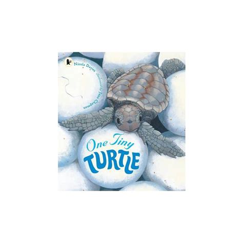 One Tiny Turtle Stanfords