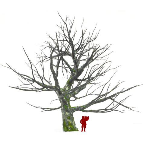 Ancient Tree Tabletop World