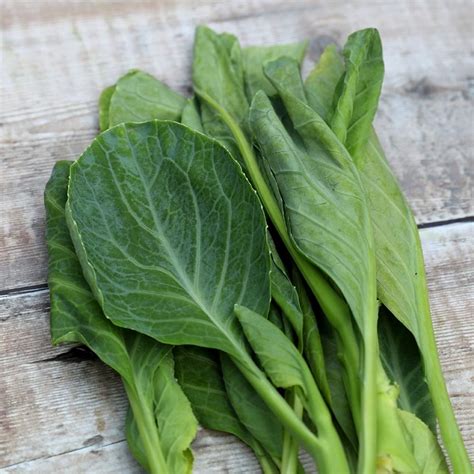 Buy Kailaan Kai Lan Chinese Broccoli Kailaan Kai Lan Chinese