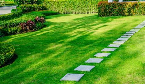 How To Make Your Grass Greener Lawn Care Tips Opulence Magazine