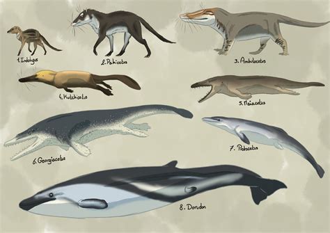 Prehistoric Whales On Land