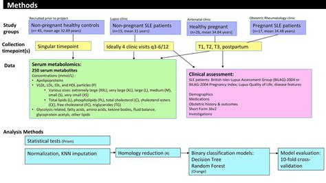 Metabolomics In Systemic Lupus Erythematosus And Pregnancy A