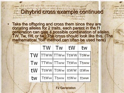 Classical Mendelian Genetics Ppt Download