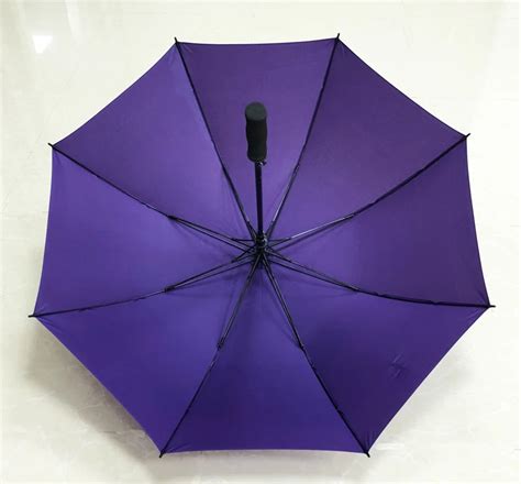 紫雨伞 第9页 大山谷图库