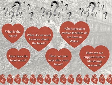 Single Steps Learning Project Heart Of The Matter The Project