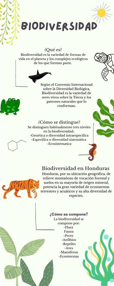 Qu Es La Biodiversidad Definicin De Biodiversidad