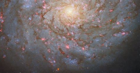 Hubble Captura La Galaxia Espiral Ngc 4689 Brillante Como Una Joya
