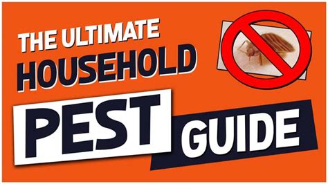 Household Pest Guide Prairie Pest Control
