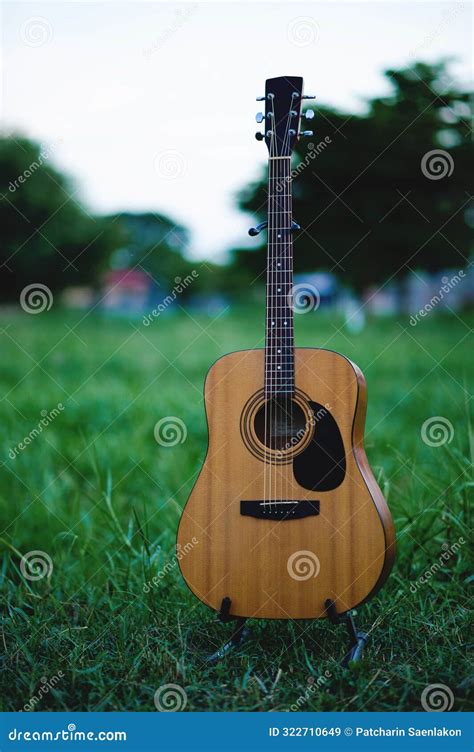 Guitar Stringed Musical Instrument Placed In The Grass Classical Guitar Playing Music And