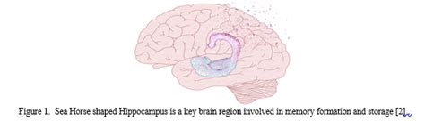 Hippocampus Prosthesis For Memory Impairment