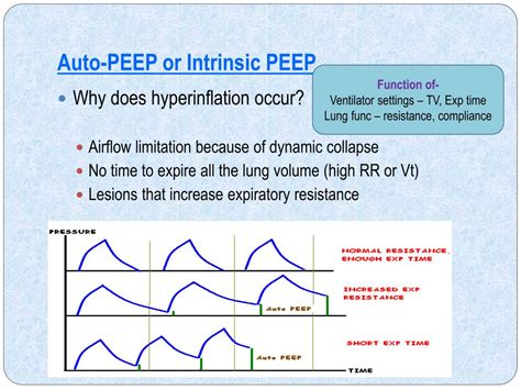 Ppt Physiology Of Positive Pressure Ventilation And Newer Modes Of Ventilation Powerpoint