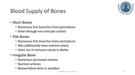 General Anatomy Of Bone Skeleton And Cartilage Pdf
