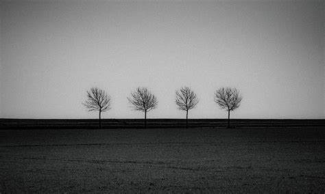 Bandw On Behance