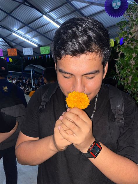 Ejemplos De Programas