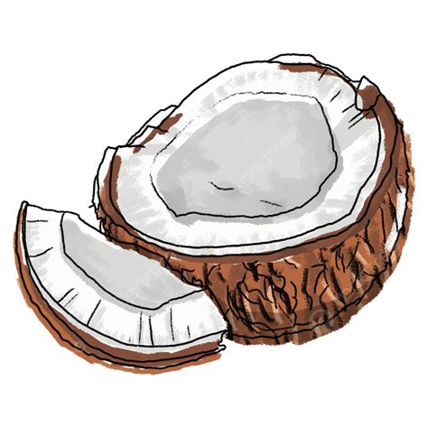 Summer Season Clipart Hd Png Coconut Cool Fruit Summer Season Cute