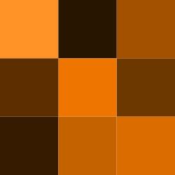 Outrageously Orange Lovers Of Orange The Color Not The Fruit Unite