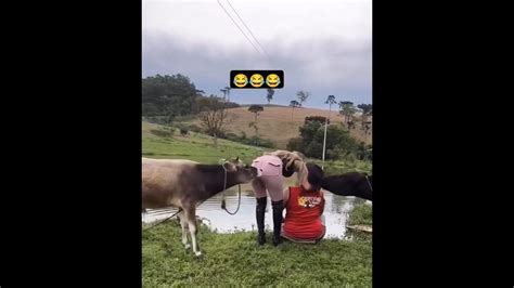 Rocki Boy 12 Shorts Videos Upendra Kumar 😂😂😂🔥🔥🔥💯💯💯🙎🙎🙎 Youtube