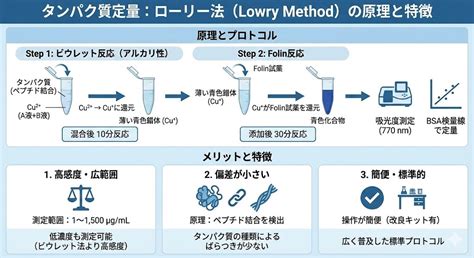 ローリー法のメリットとタンパク質定量法の比較検証