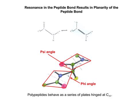 Protein Structureppt Chemistry Science