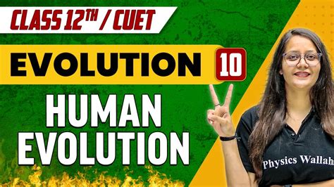 Evolution 10 Human Evolution Class 12th Cuet Youtube