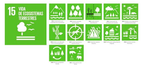 Ods 15 Vida De Ecosistemas Terrestres Desarrollismo