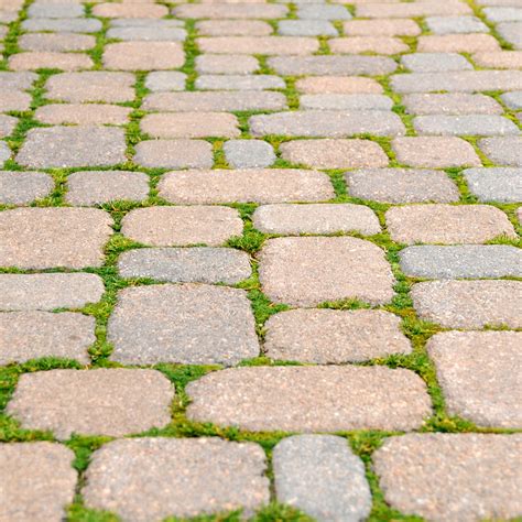 How To Grow Grass Between Pavers The Easy Way