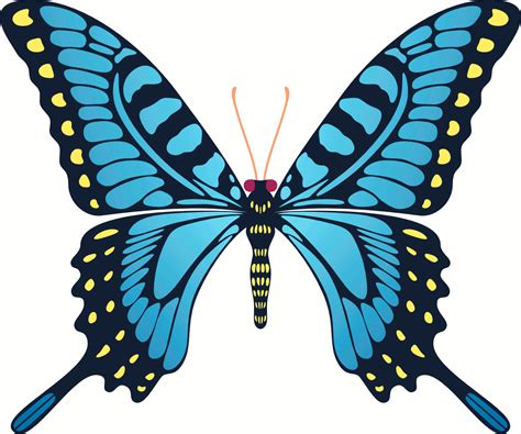 Butterfly  Png 20 Free Cliparts Download Images On Clipground 2026